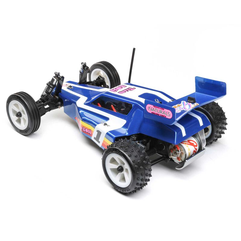 1/16 Mini JRX2 2S 2WD RTR Brushed Buggy (Battery & Charger Included ...