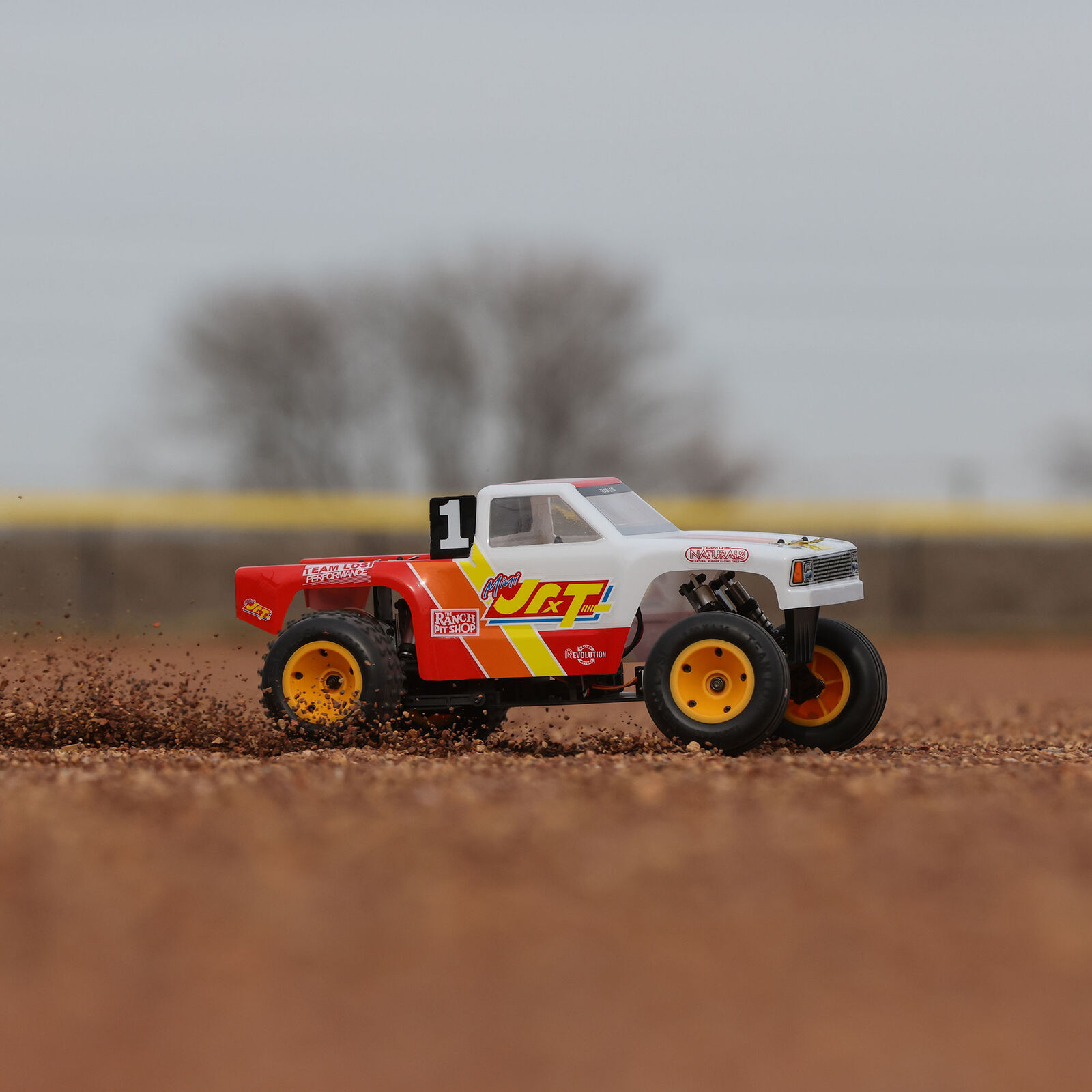 1/16 Mini JRXT Brushed 2WD Limited Edition Racing Monster Truck RTR | Losi